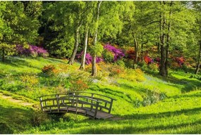 Bondecor Obraz, tištěné plátno CAGI Krajina bridge 80 x 150 cm