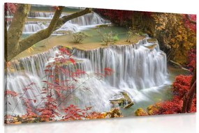 Obraz lesní vodopád Varianta: 60x40