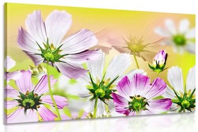 Obraz letní květiny - 90x60 cm