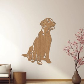 dřevo života Dřevěný obraz psa Flat coated retriever Rozměry (cm): 30x40, Barevný vzor: Horský dub