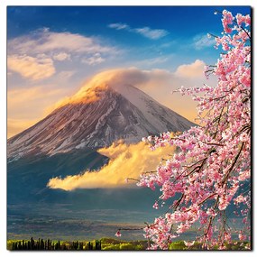 Obraz na plátně - Hora Fuji a třešňové květiny na jaře- čtverec 3266A (80x80 cm)