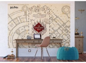 Dětská fototapeta Harry Potter Marauders Map 252 x 182 cm, 4 díly