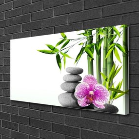 Obraz na plátně Bambus Kameny Zen Umění 140x70 cm
