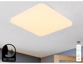 LED Stmívatelné stropní svítidlo s hlasovým ovládáním OPAL LED/48W/230V + DO