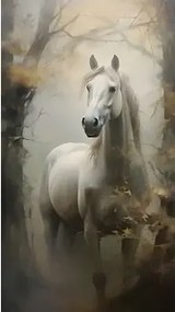 NORIMPEX Diamantové malování Bělouš v mlze / 30x40 cm
