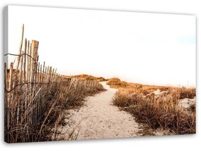 Obraz na plátně Pláž Písečné duny Travnaté plochy - 60x40 cm