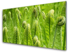 Obraz na skle Rostlina Příroda 120x60 cm