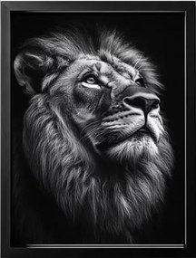 Hrdý vládce - obraz - Majestátní lev v černobílém stylu 14 - 70 x 100 cm - 1 149 Kč