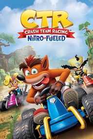 Postershop Plakát - Crash Team Racing (Race)