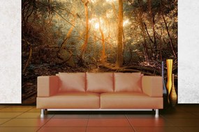DIMEX | Samolepicí vliesová fototapeta na zeď Tajemná džungle MA-5-1593 | 375 x 250 cm | zelená, oranžová, hnědá