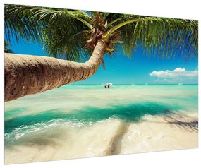 Obraz čistého moře s palmou (90x60 cm)