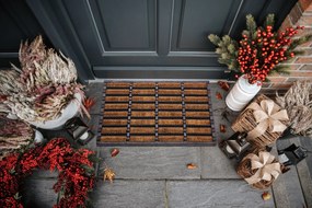 Hanse Home, Venkovní čistící rohož Mix Mats Brushes 105647 Black Cocos - na ven i na doma, 45x75, hnědá, exteriér