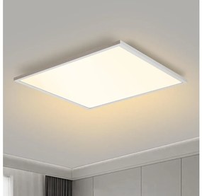 Brilagi - LED Stmívatelné svítidlo SLIMFRAME LED/58W/230V 60x60 cm bílá + DO