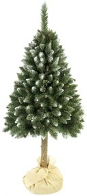Vánoční stromek Borovice diamantová se šiškou na pníku 180 cm
