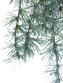 Větvička Christmas Tree 30x2x60cm light green