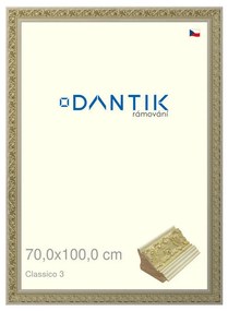 DANTIK rámeček 70x100 | Claico 3 (Plexi Čiré)