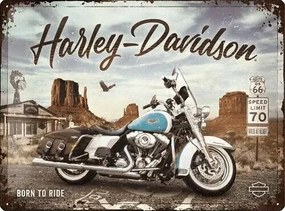 Plechová cedule Harley-Davidson - King of Route 66, (40 x 30 cm)