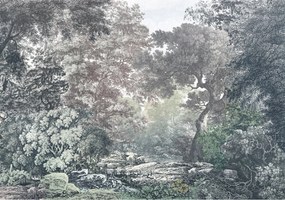Komar Vliesová fototapeta Fairytale Forest 400 x 280 cm