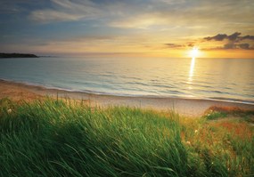 Postershop Fototapeta vliesová: Pláž při západu slunce - 368x254 cm