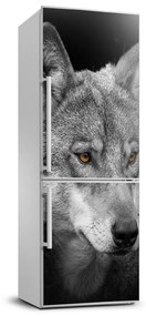 Wallmuralia Nálepka fototapeta lednička Portrét vlka 60x180 cm