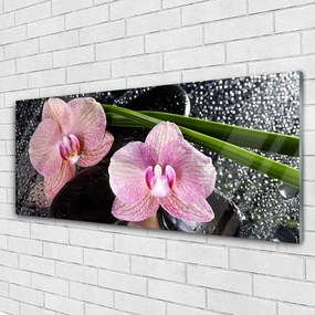 Plexisklo-obraz Květiny Orchidej Kameny Zen 125x50 cm