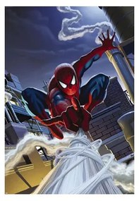 FOTOTAPETA SPIDERMAN-ROOFTOP 1-424