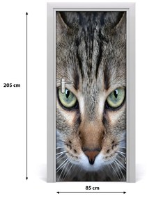 Samolepící fototapeta na dveře Oči kočky 85x205 cm