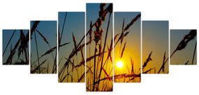 Obraz - Západ slunce v louce (210x100 cm)