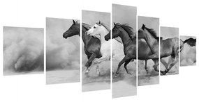 Černobílý obraz koní (210x100 cm)