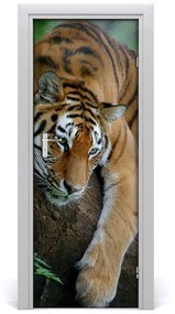 Samolepící fototapeta na dveře tygr na stromě 95x205 cm