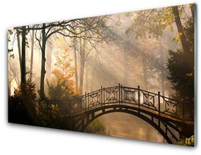 akrylový obraz Les Most Architektura 125x50 cm