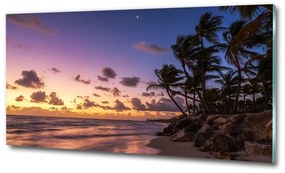 Wallmuralia Fotoobraz na skle Západ na pláži 100x50