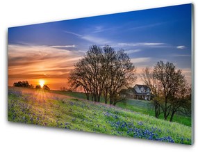 akrylový obraz Louka Slunce Krajina 140x70 cm