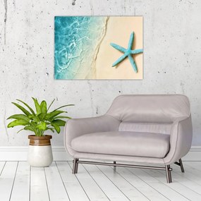 Skleněný obraz - Hvězdice na pláži (70x50 cm)