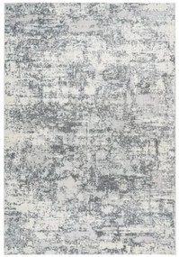 Kusový koberec Paris 503 silver Varianta: 200x290 cm