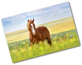 Wallmuralia Kuchyňská deska skleněná Hnědý kůň 80x52 cm