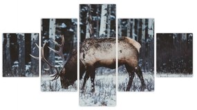Obraz - jelen v zimě (125x70 cm)