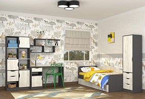Casarredo - Komfort nábytek Skříň 1D DISNEY dub kraft bílý/šedý grafit