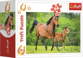 TREFL PUZZLE Koně foto mini 20x13cm skládačka 54 dílků 4 druhy tr54193