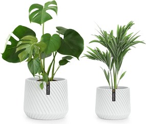 Fox & Fern Heusden, sada 2 květináčů, polyston, vhodný na rostliny, ruční výroba, 3D vzhled