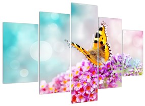 Obraz motýla na květech (150x105 cm)