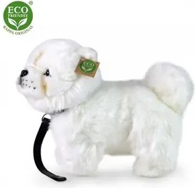 RAPPA Plyšový pes čau-čau 30 cm / ECO-FRIENDLY / od 0 měsíců