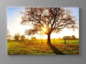 Liox Obraz podzimní krajina v západu slunce Rozměr: 150 x 100 cm