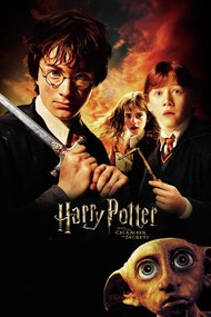 Umělecký tisk Harry Potter - Chamber of secrets