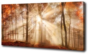 Wallmuralia Foto obraz na plátně Mlha v lese podzim 100x50