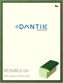 DANTIK rámeček 60x80 | BOXzelená mořená (Plexi Čiré)