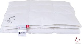Letní přikrývka s péřovou výplní 200x220 cm Jack the Dullard – Ringsted Dun