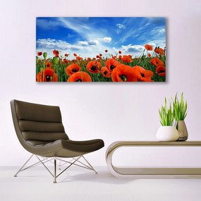 Plexisklo-obraz Louka Máky Květiny 120x60 cm
