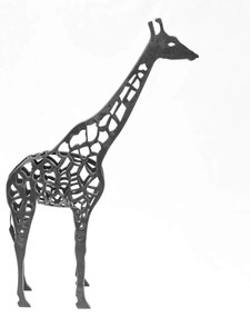 Žirafa Amina máma