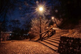 DIMEX | Samolepicí vliesová fototapeta na zeď Petřínský park MA-5-0686 | 375 x 250 cm | modrá, žlutá, hnědá